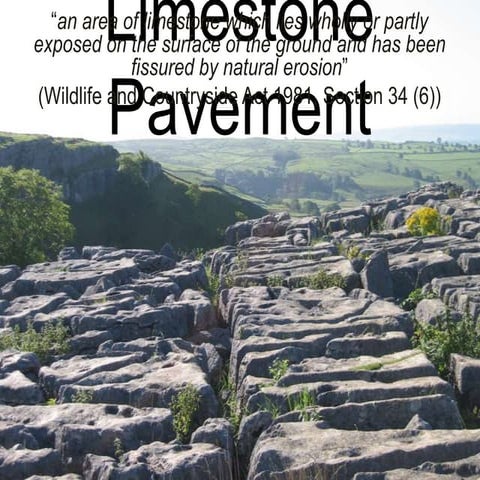 Limestone Pavement Ecology | PPTX