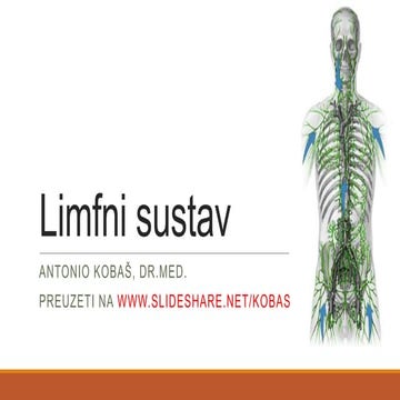 Limfni sustav | PPSX
