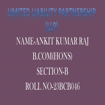 LIMITED LIABILITY PARTNERSHIP (LLP) ANKIT (1).pdf
