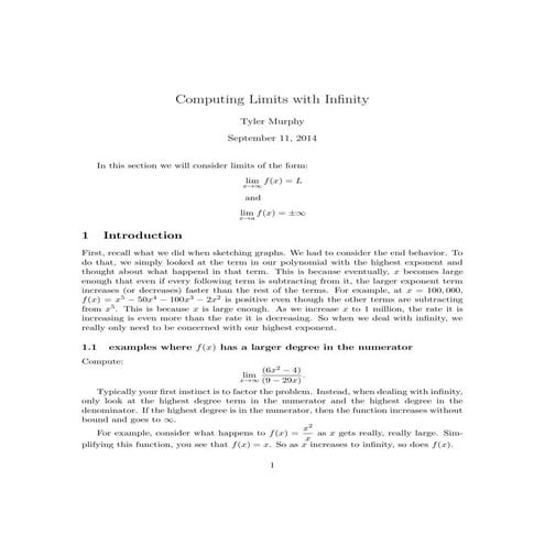 the 5 limits at Infinity a detailde illustartion | PPT