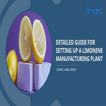 Limonene Manufacturing Plant Project Report.pptx