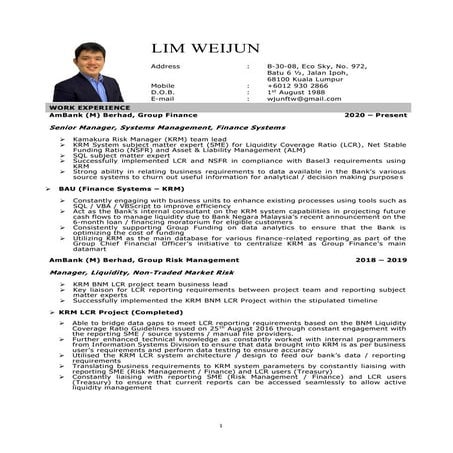 Lim Weijun - CV | PDF