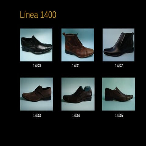 Linea 300 | PDF