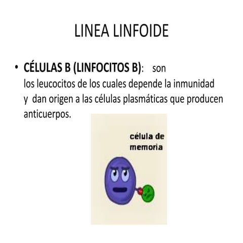 Linea linfoide | PPTX