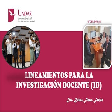 LINEAMIENTOS PARA LA INVESTIGACIÓN DOCENTE-UNDAR 2024-DFF.pdf