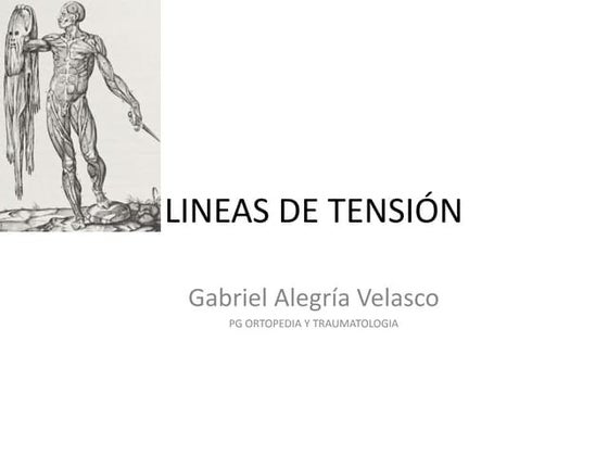 Lineas De Tension De Langer | PDF