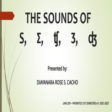 LING 205 sounds S SH CH ZH DG.pptx