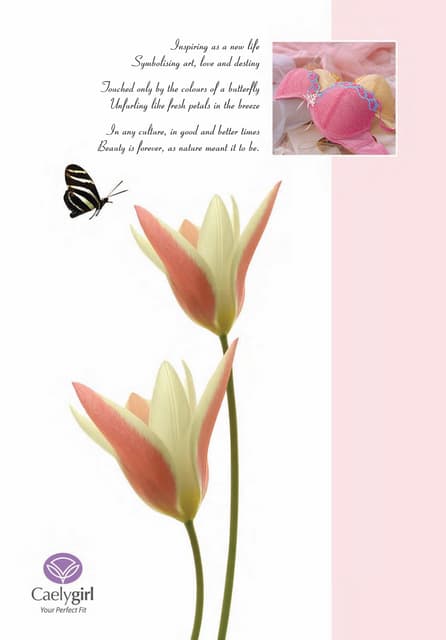 Nipplex - Lingerie Spring Summer Collection Catalog 2015 | PDF