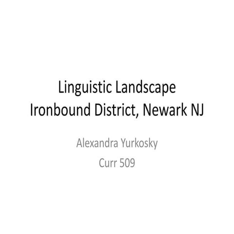 Linguistic landscape | PPTX