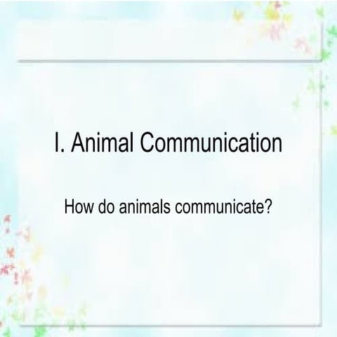 Linguistics animal communication | PPT
