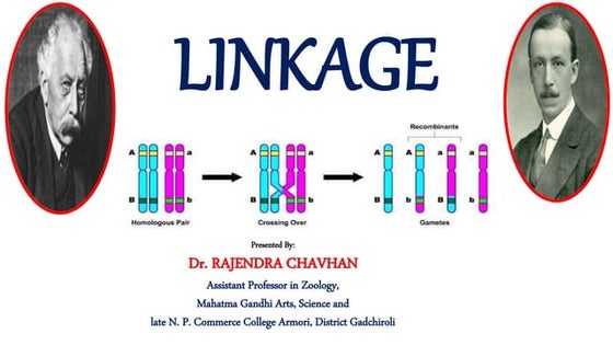 DNA Microarray notes.pdf