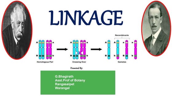 Linkage and crossing over | PPT