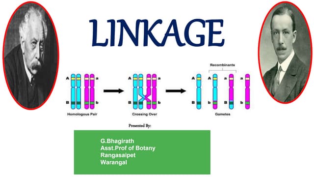 Coupling and repulsion human genetics | PPTX