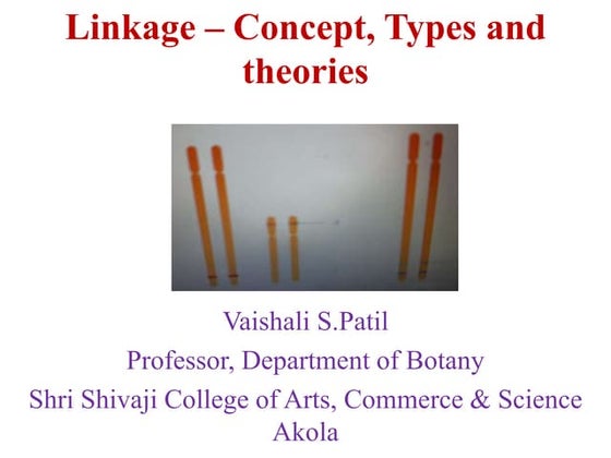 Sex Determination Chromosomal Theory Of Sex Determination Ppt