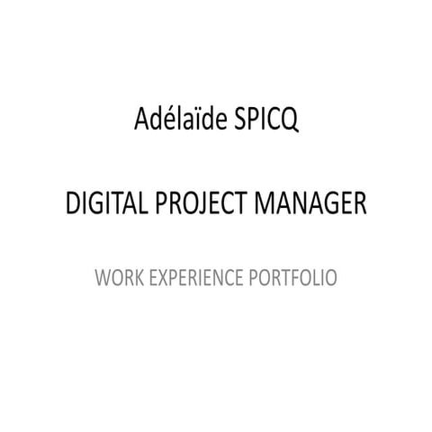 Work Experience Portfolio | PPTX