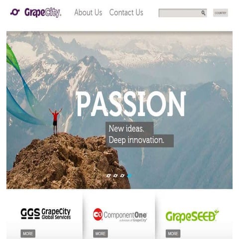 GrapeCity Business Units | PPTX | Business | Business and Finance