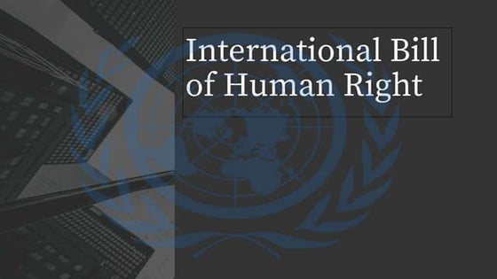 Udhr | PPT