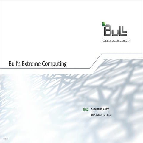 Bull Information Systems | PPT
