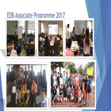 Summary of EDB Programmes 2017 | PPTX
