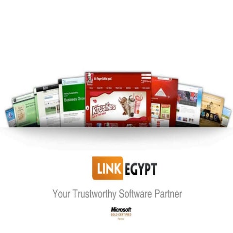 Link Egypt Profile | KEY | Internet | Computing
