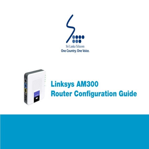 Linksys AM300 | PPT