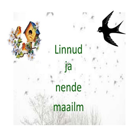 Linnud | PPT