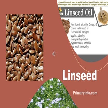 Linseed - Database | PDF
