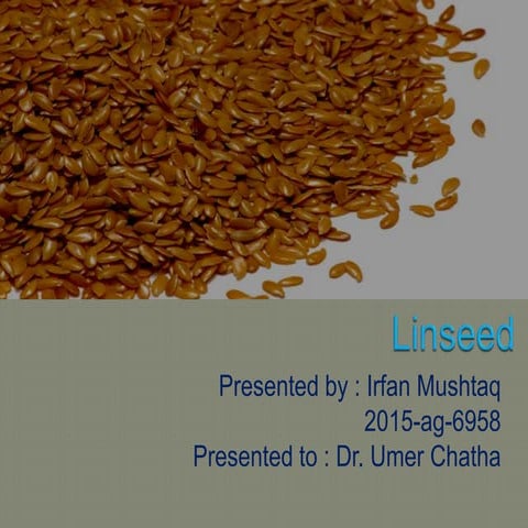 Linseed presentation | PPTX