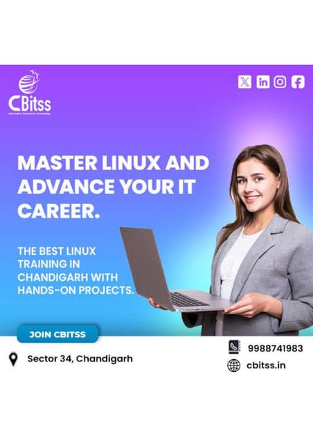 Master Professional Accounting Skills with CBITSS | PDF