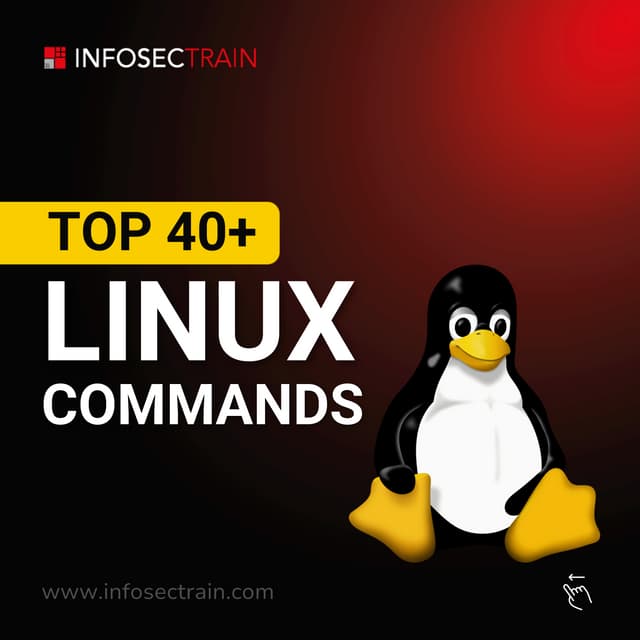 Master The Essentials Top 40 Linux Commands By Infosectrain For It Pros Pdf