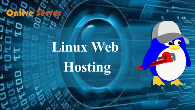 Linux Web Hosting Secure Scalable And Customizable Hosting Option Ppt