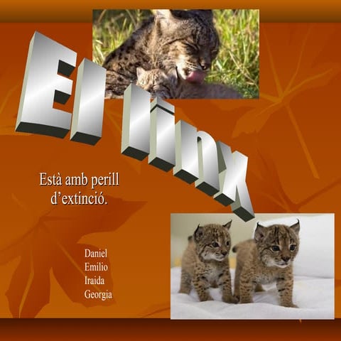 Linx | PPT