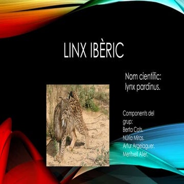 Linx ibèric | PPTX