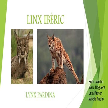Linx ibèric | PPTX