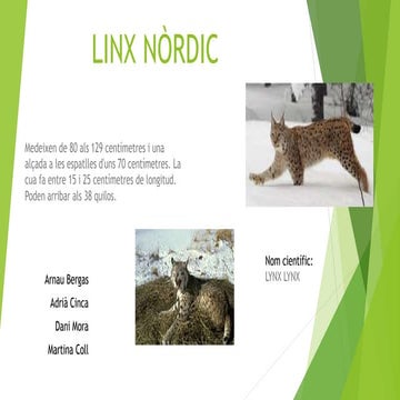 Linx nòrdic | PPTX