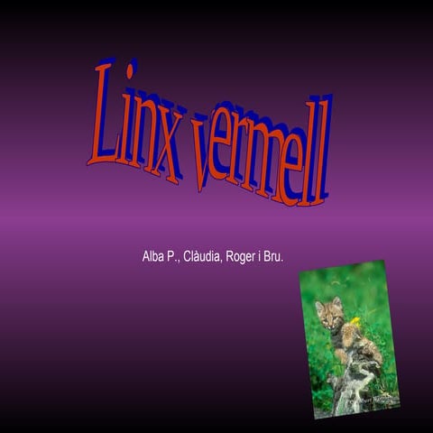 Linx vermell | PPT