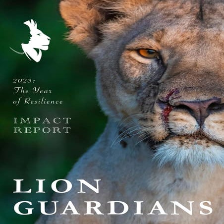 Lion Guardians conservation program in Africa | PDF