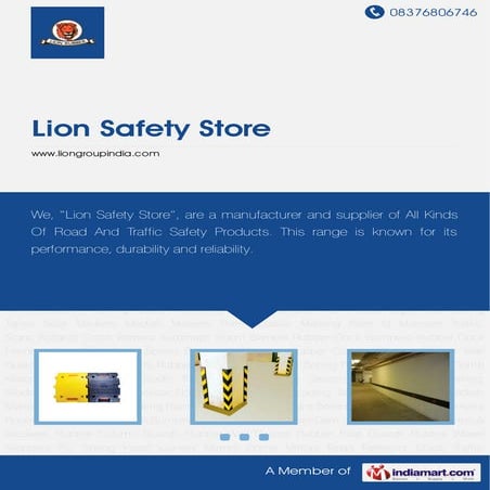 Lion safety-store | PDF
