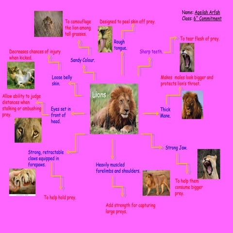 Lion adaptation 2011[1]-1 | PPT