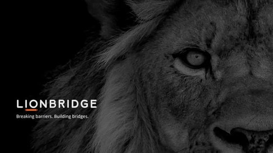 LanguageLine Solutions Enterprise Brochure | PDF