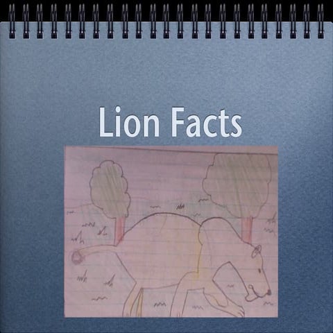 Lion Facts 2 By: J.R | KEY