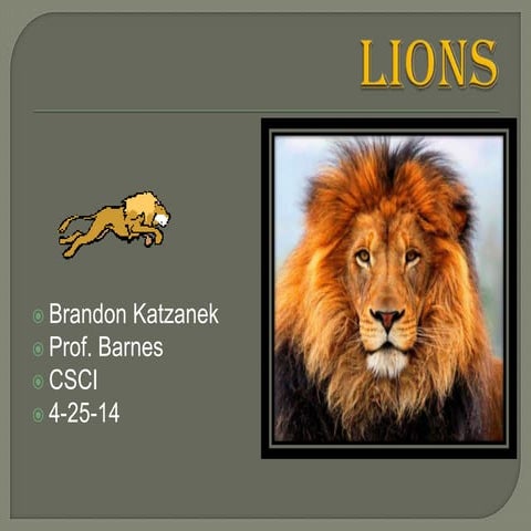 Lions | PPTX