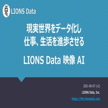 LIONS Data - Information about the company | PDF