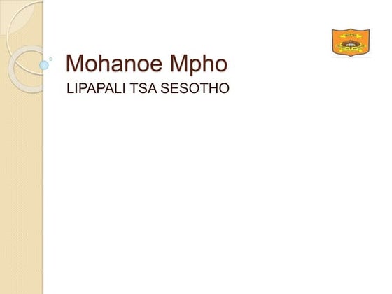 MOSHOESHOE.pptx