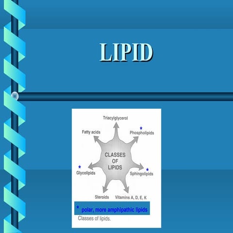 Chuyển hóa lipid | PDF