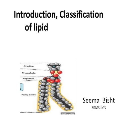 lipid.pptx