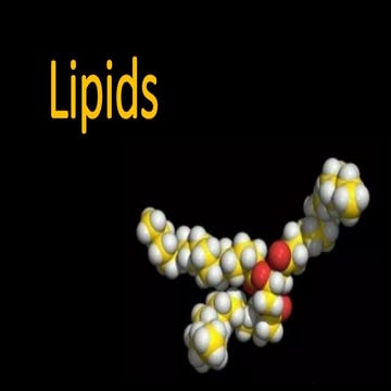 Lipid.pptx about lipids brief explanation | PPTX
