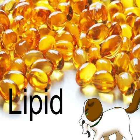 Lipid (biochem) | PPTX