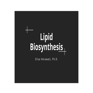 LIPID BIOSYNTHESIS Metabolisme Lemak.pptx
