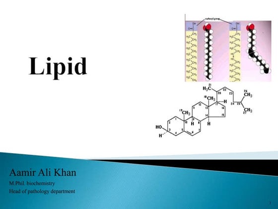 Lesson 10 Lipids | PDF